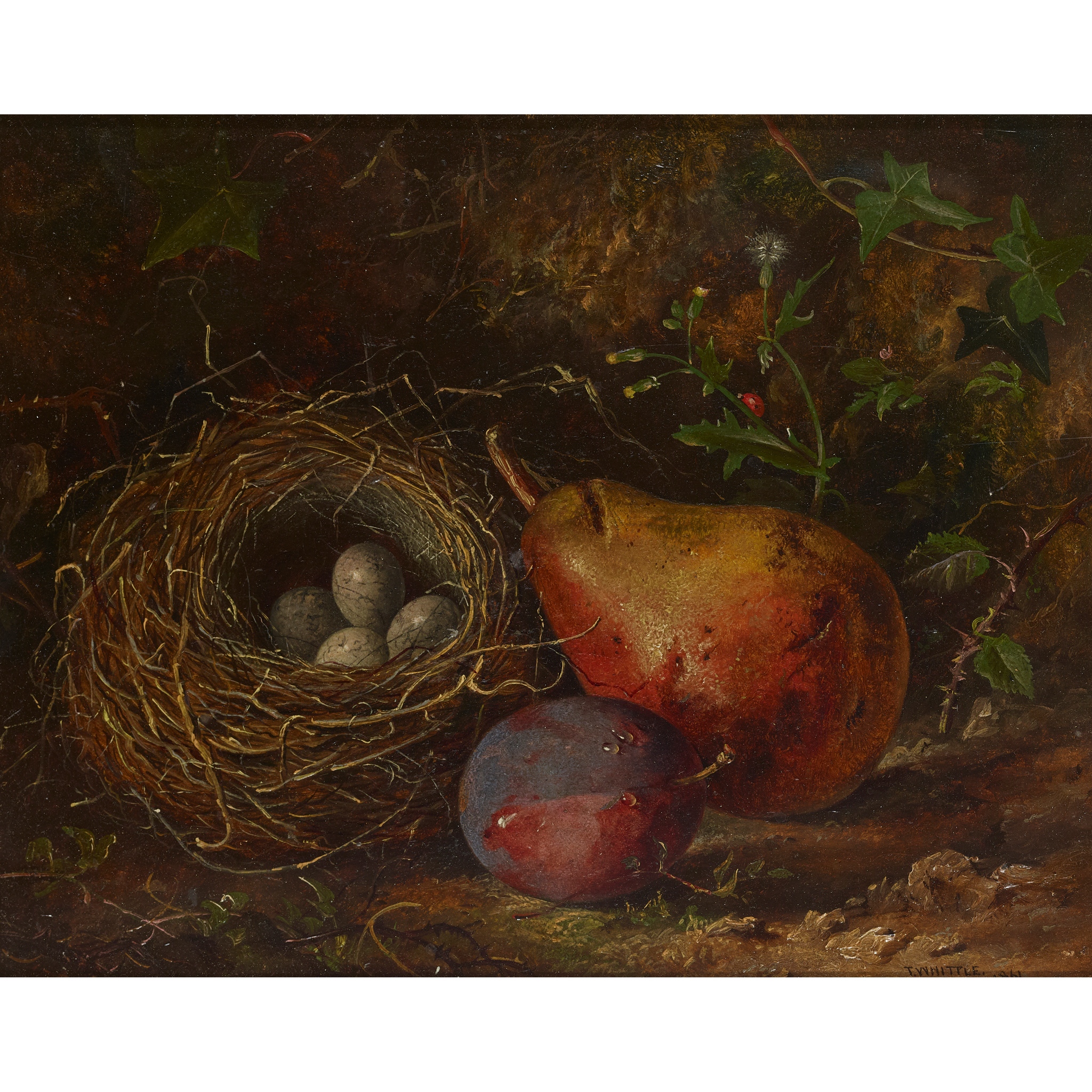 THOMAS WHITTLE THE ELDER (BRITISH 1840-1868) BIRD'S NEST AND FRUIT ON A ...