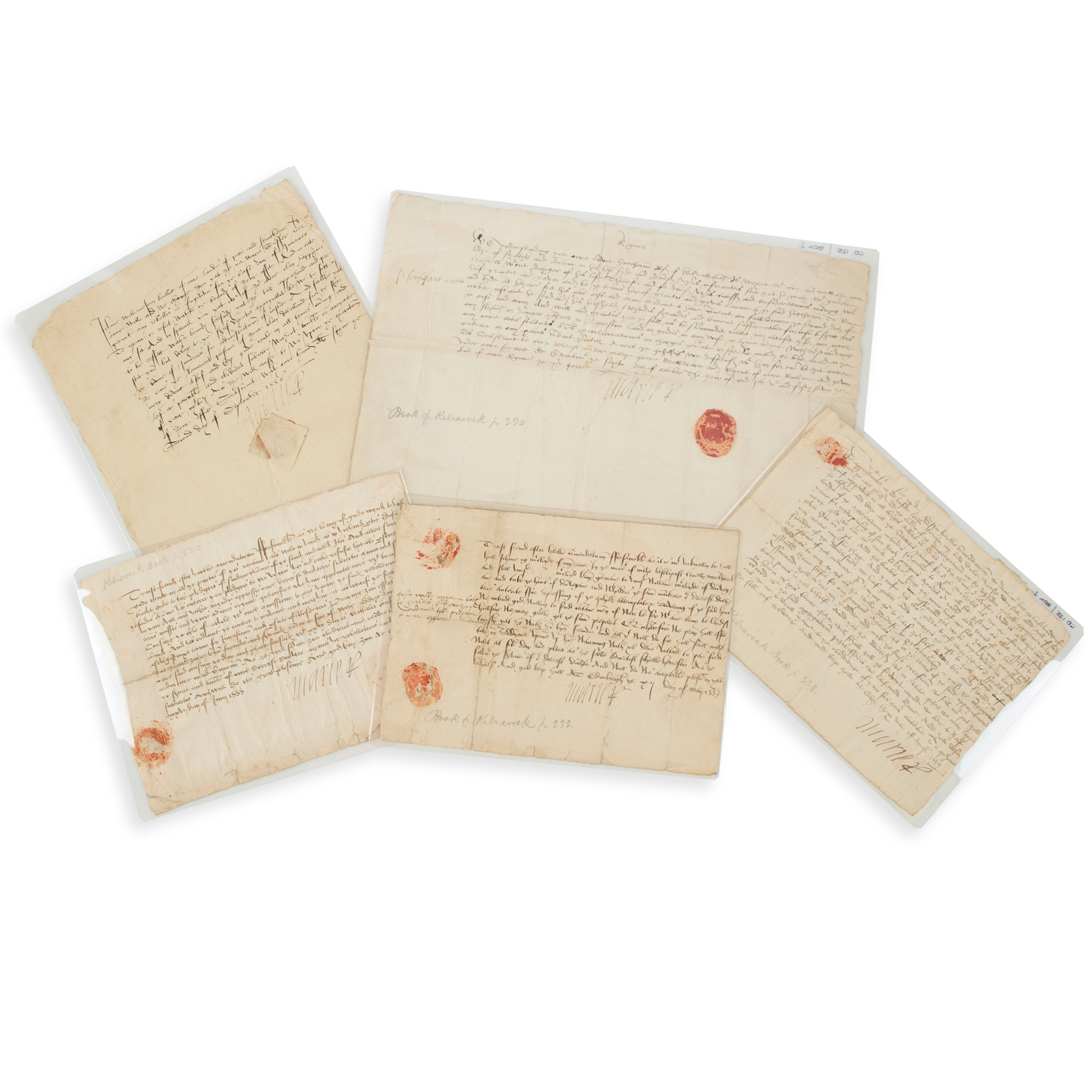 Mary of Guise (1515-1560), Queen of James V Scotland, Regent of ...