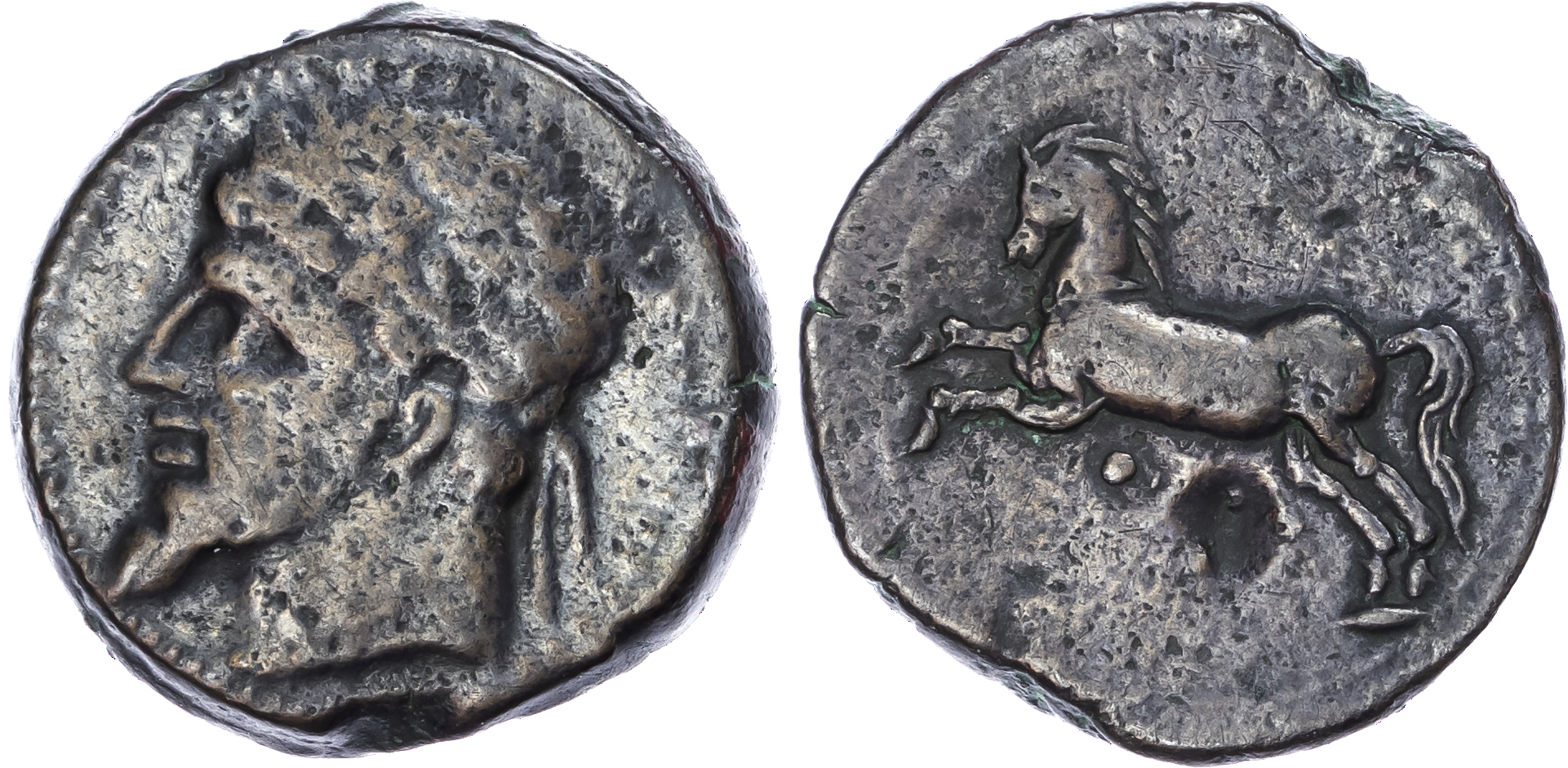 Numidia, Massinissa or Micipsa (c. 203-148 BC or 148-118 BC) AE Unit | 18 October 2023