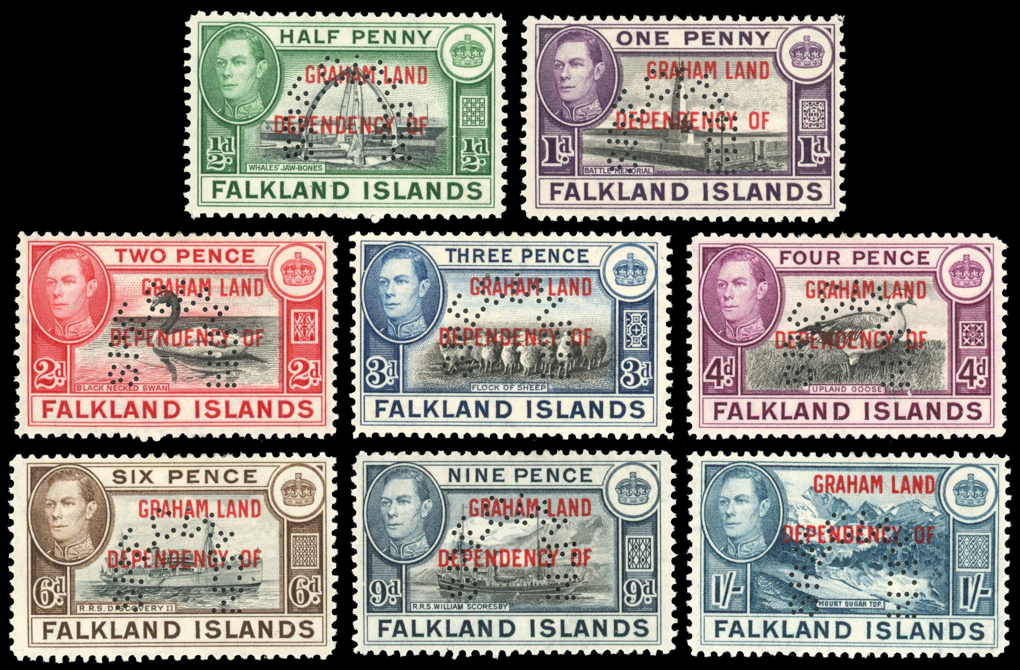 FID SG A1s-8s Specimens | 25 November 2025